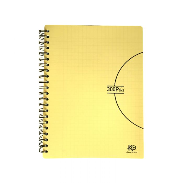 Cahier Wiro KO 300 Pages GF Séyès 21 x 29.7 cm (8500286)
