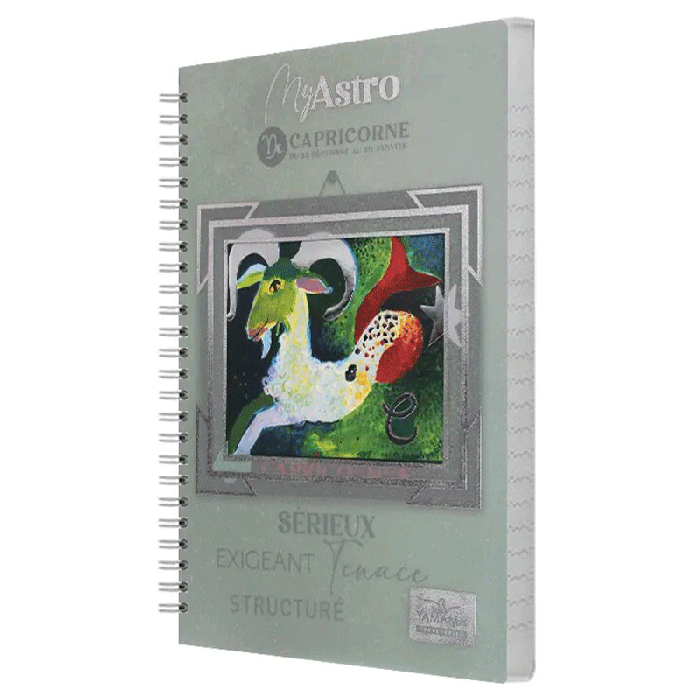 Cahier WIRO YAMAMA HOROSCOPE Capricorne Séyès 300 Pages