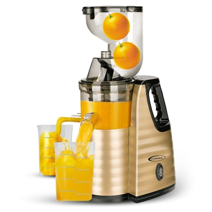 Extracteur De Jus FLORENCE HK-423 300W - Gold