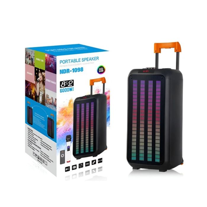 Haut parleur Sans Fil NDR 1098 RGB - Noir