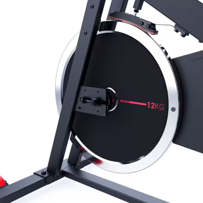 Vélo De Biking Essentiel 100 kg En acier